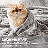 Amazon.com: Madison Park Ultra-Soft Poly Fur Blanket, Reversible Plush ...
