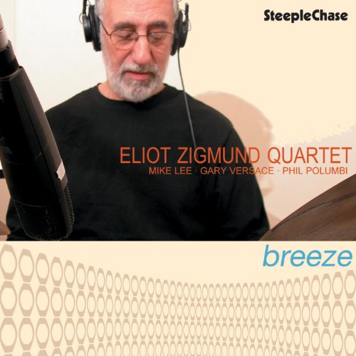 Amazon.com: Breeze : Eliot Zigmund: Digital Music
