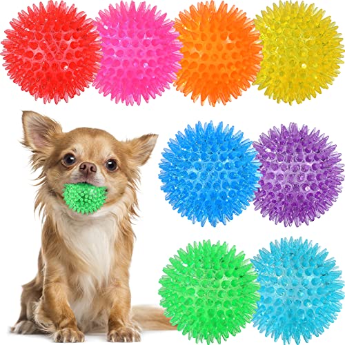 Small Dog Balls – The 15 best products compared - Wild Explained