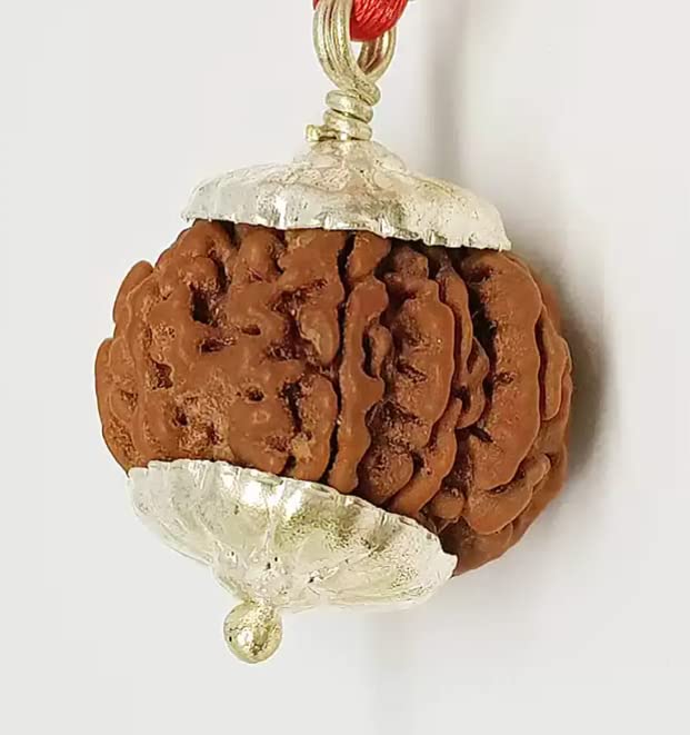 Buy 8 Mukhi Rudraksha Original Certified 8 Face Rudraksha With Silver ...