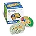 Amazon.com: Learning Resources Cross-section Brain Model - 2 Pieces ...