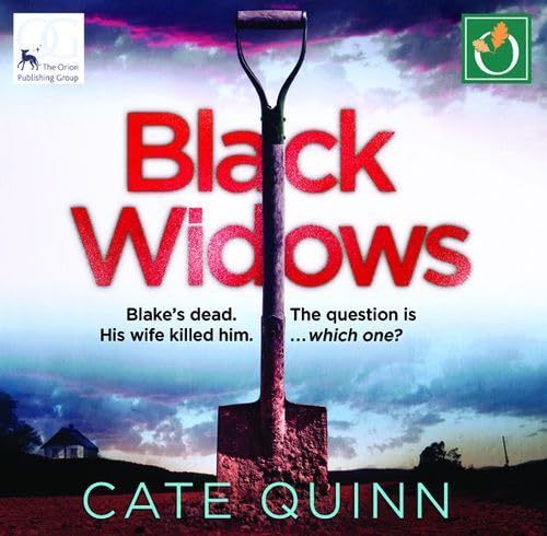 Black Widows: Amazon.co.uk: Quinn, Cate, Cannon, Stephanie, Fenton ...