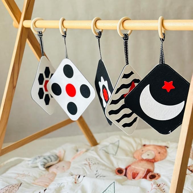 Buy GiGeeGaGaa High Contrast Hanging Flashcards for Newborns & Infants ...