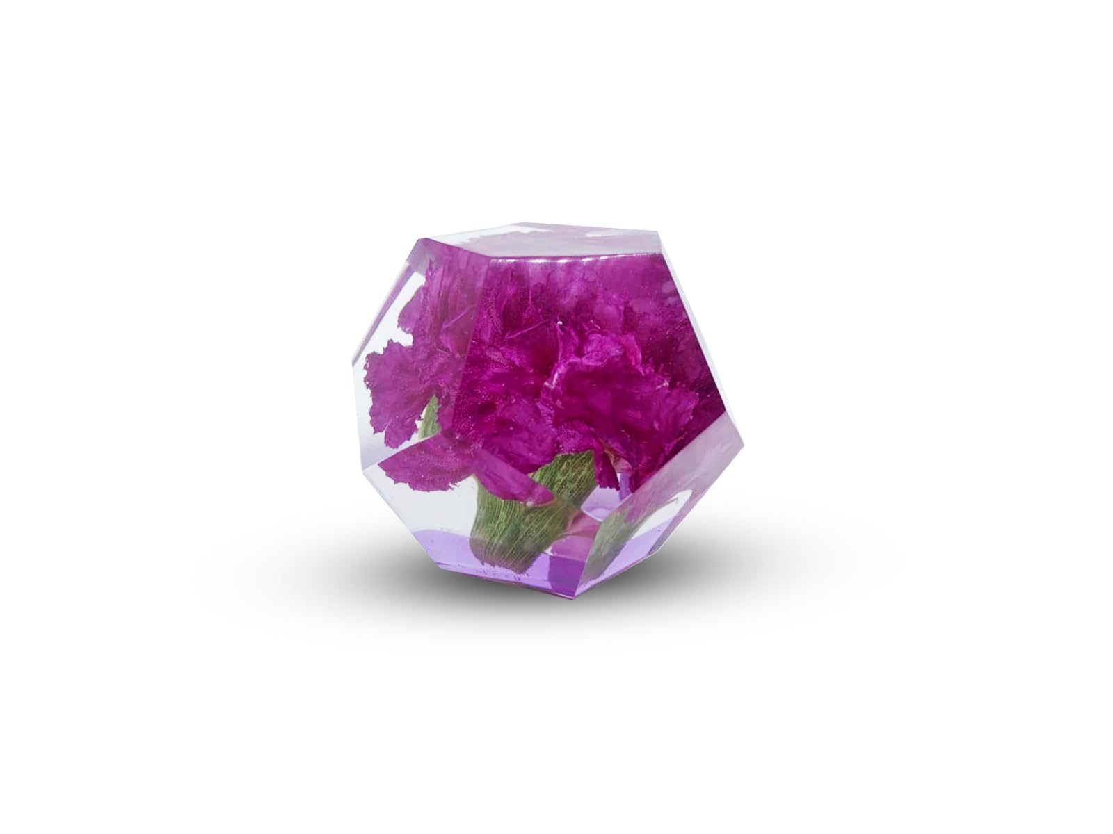 Amazon.com: Eternal Flower Carnation | Flower in Resin | Carnation ...