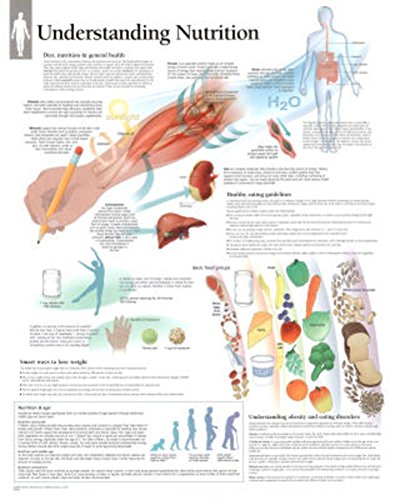 Snapklik.com : Understanding Nutrition Chart: Laminated Wall Chart