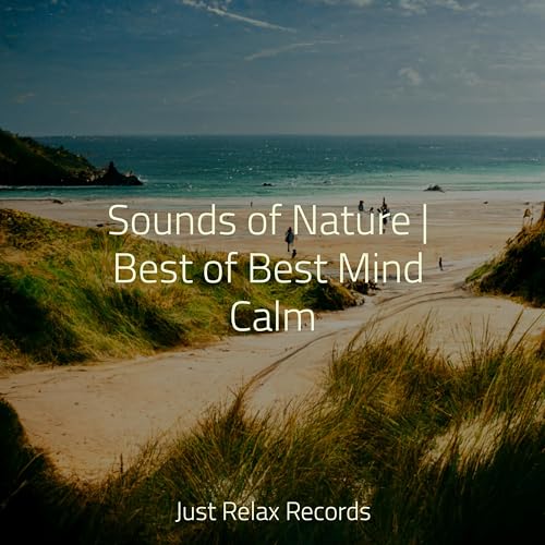 Play Sounds of Nature | Best of Best Mind Calm by Calming Sounds ...