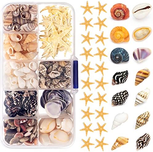Amazon.com: Okllen 2.2 Pounds Mixed Beach Seashells Starfish ...