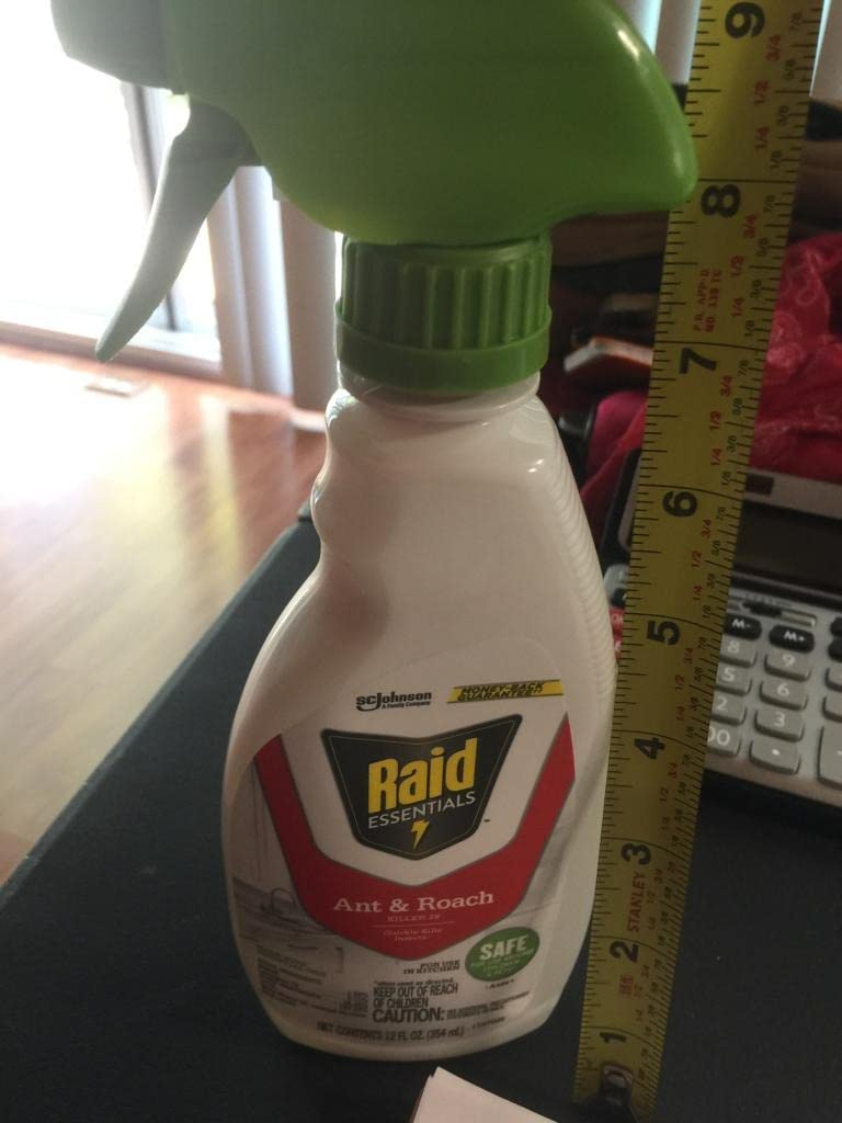 Amazon.com: Raid Essentials Ant & Roach Killer Spray Bottle, Child ...