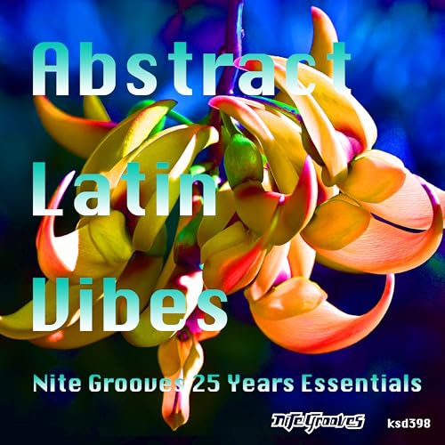 Spiele Abstract Latin Vibes (Nite Grooves 25 Years Essentials) von ...