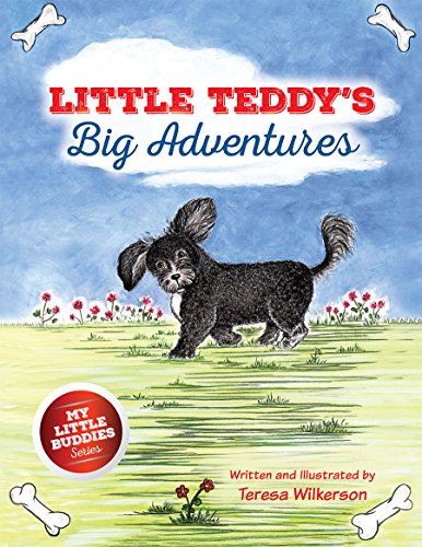 Little Teddy's Big Adventures (My Little Buddies Book 1) eBook ...