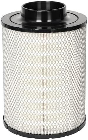 Amazon.com: AUIVERED 46637 B085011 Air Filter - Compatible with Fleet ...