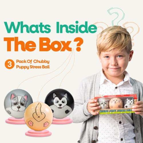 Snapklik.com : 3 Pack Stress Balls For Kids Tear-Resistant, Non-Toxic ...