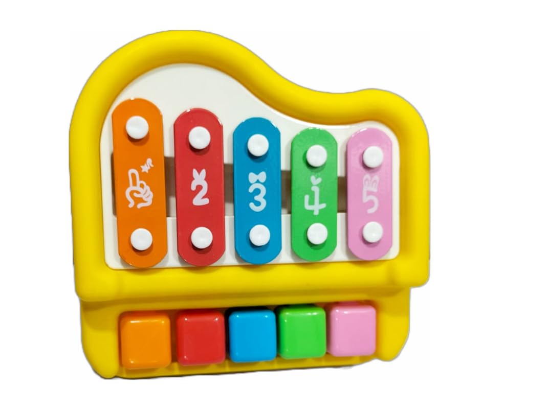 Buy 2 in 1 Small Piano Xylophone Musical Toy for Kids with 8 Keys, 2 ...