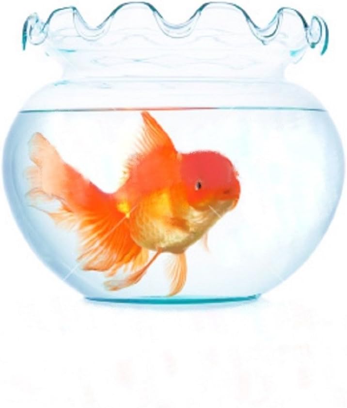 Aquarline Glass Goldfish Bowl with a Fancy Fluted Neck and Feet, 4 ...