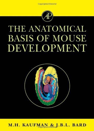 The Anatomical Basis of Mouse Development: 9780124020603: Medicine ...