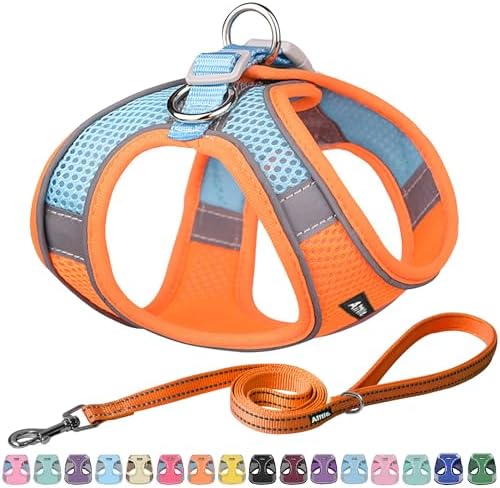 Amazon.com : AIITLE Step in Dog Harness and Leash Set - Summer No Pull Escape Proof Vest ...