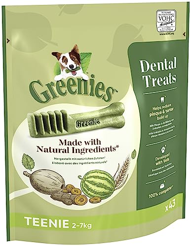 Guía para elegir los mejores palitos dentales para perros - Casacochecurro