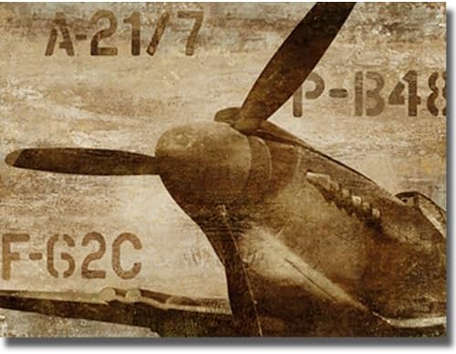 Amazon.com: Artistic Home Gallery Vintage Airplane by Dylan Matthews ...