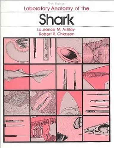 Laboratory Anatomy of the Shark: Buy Online at Best Price in Egypt ...