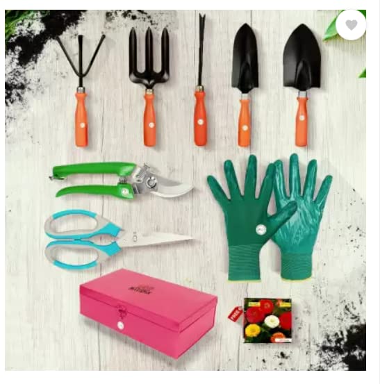 Kraft Seeds Gardening Hand Tool Kit (Cultivator, Gardening Fork,Small ...