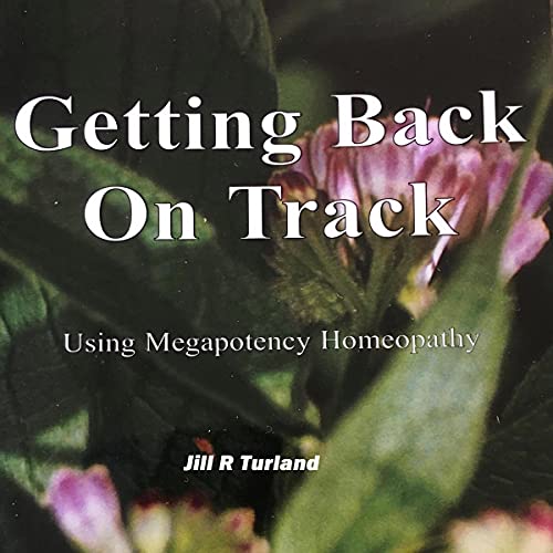 Amazon.com: Getting Back on Track (Audible Audio Edition): Jill R ...