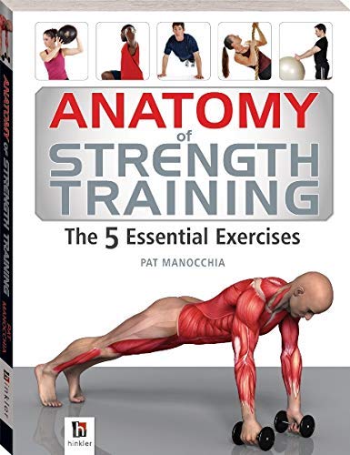 Anatomy of Strength Training The 5 Essential Exercises - No Sickness