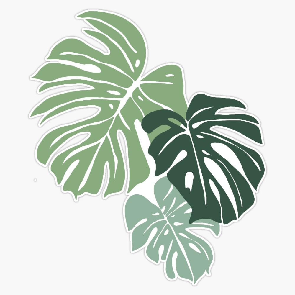 Amazon.com: Monstera Leaves Sticker Vinyl Waterproof Sticker Decal Car ...