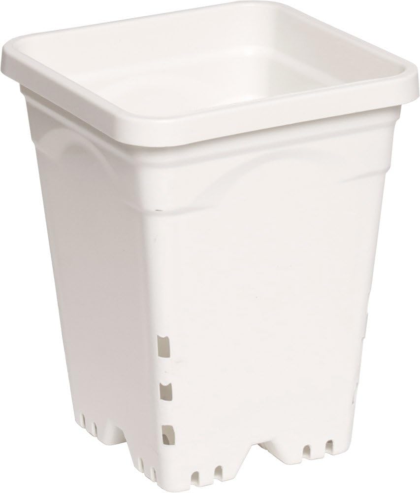 Amazon.com: 9" x 9" Square White Pot, 10" Tall (5 Pots/3 Gallons each ...