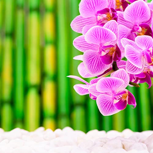 Play Soft violin for relaxation / Calming music for better sleep and ...