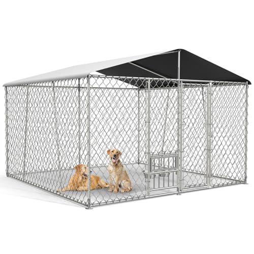 Maximize Outdoor Fun: Exploring the World of Dog Runs | My Little And Large