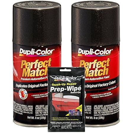 Amazon.com: Dupli-Color Clear Perfect Match Automotive Top Coat - 8 oz ...