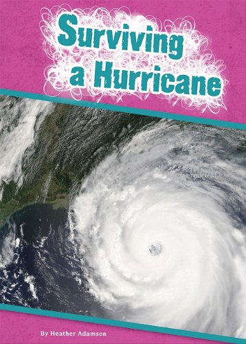 Surviving a Hurricane: Adamson, Heather: 9781607531517: Books - Amazon.ca