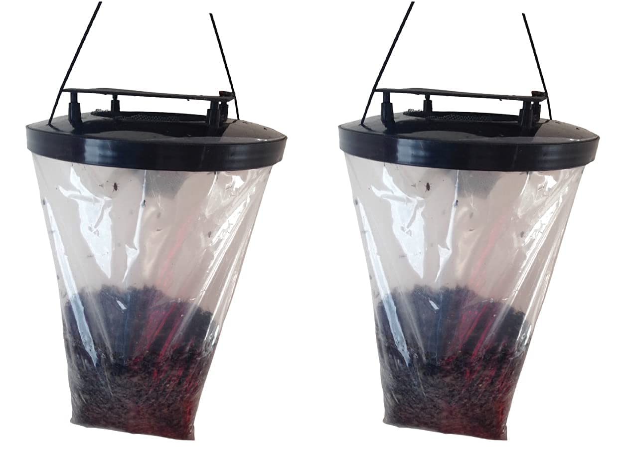 Fly trap outdoors (2 pack, made in UK) , this Fly catcher catches x 5 ...