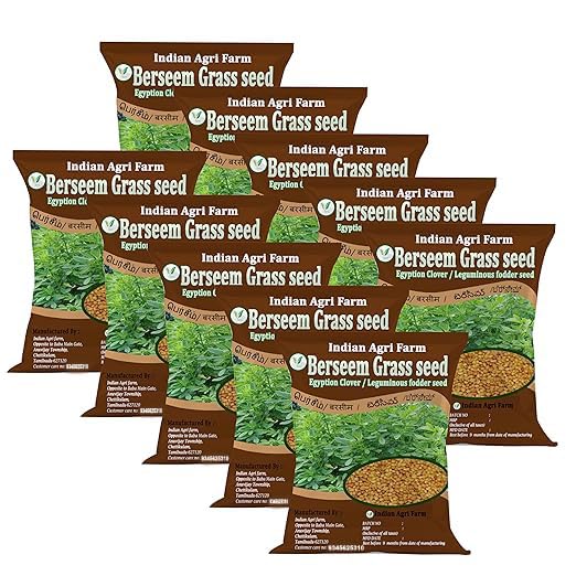 Iagrifarm Berseem/Egyptian clover - 10 Kg (Trifolium alexandrinum ...