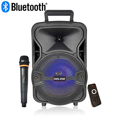 PA & Stage Fenton Active Powered Bluetooth Speaker System 12 with ...