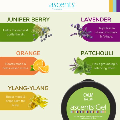 The 29 Best Gel Diffusers of 2025 [Verified] - Cherry Picks