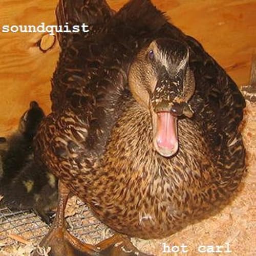Play Hot Carl by Soundquist on Amazon Music
