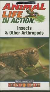 Insects & Other Arthropods (Animal Life in Action) - Amazon.com Music