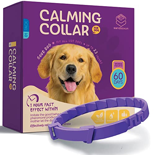 Find The Best Calming Collars For Dogs Reviews & Comparison - Katynel