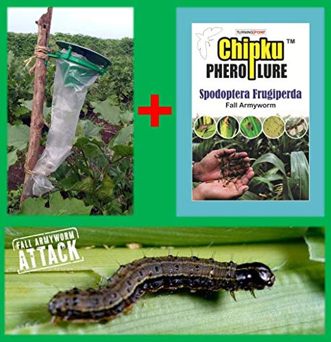 Chipku-Pheromone funnel trap for insect Fall Army Worm lure & trap for ...