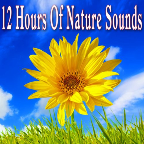 Play 12 Hours of Nature Sounds by Nature Sounds on Amazon Music