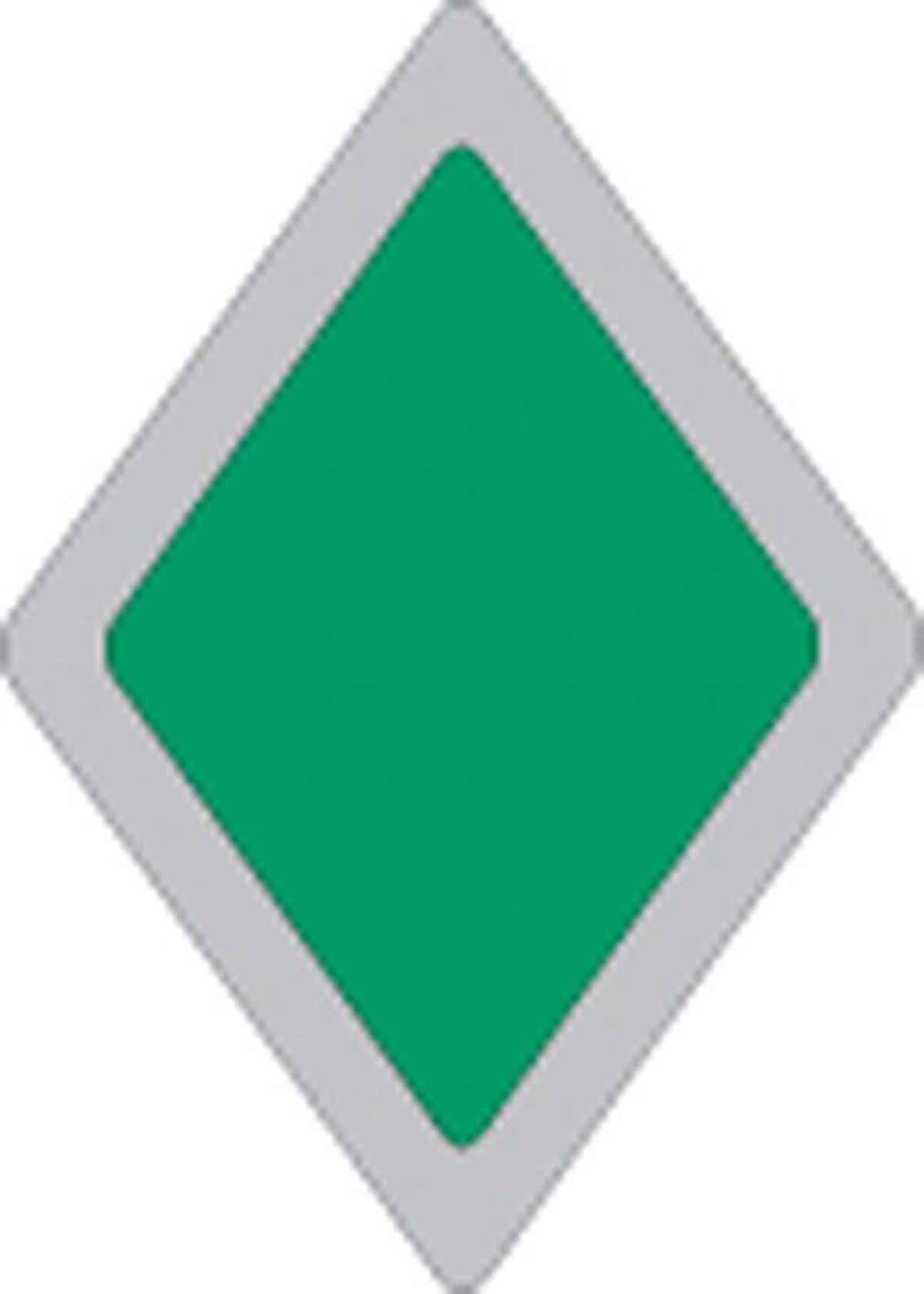 Amazon.com : Voss Signs Green Plastic Reflective Atv Trail Blazer ...