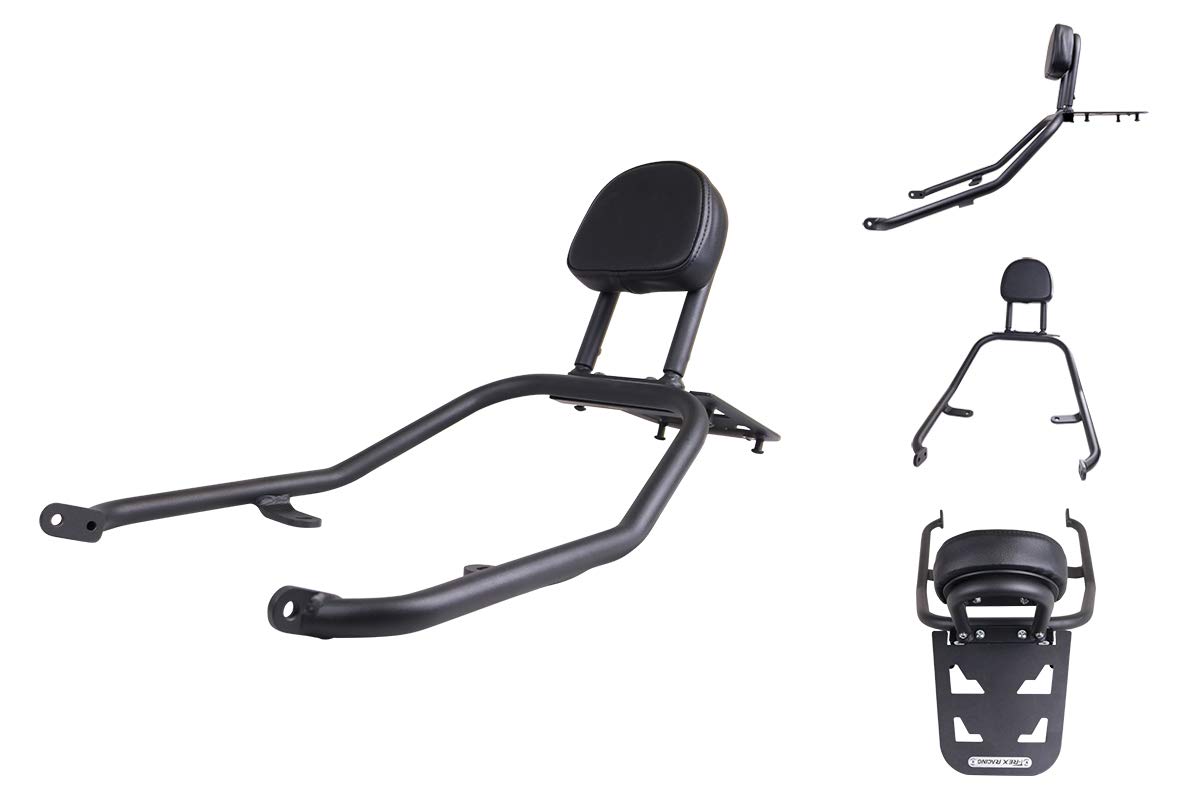 Buy T-Rex Racing Passenger Back Rest & Grab Bar Luggage Rack for ...