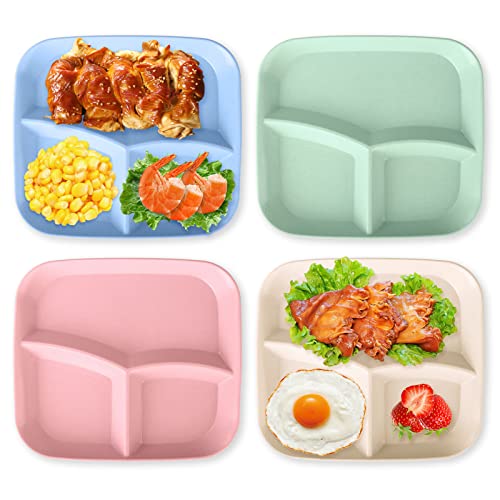 Plato con divisiones para dieta: la guía definitiva para distribuir tus ...