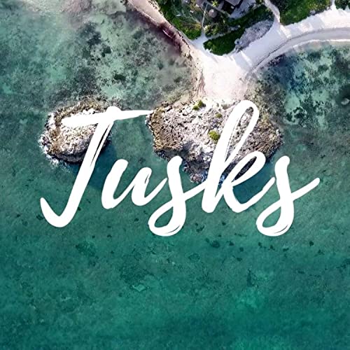 Tusks de The Lofi Bard no Amazon Music Unlimited