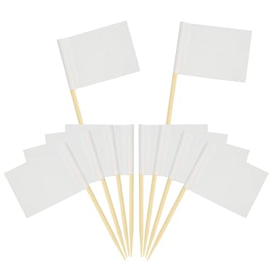 Amazon.com: Wobe 200 Pack Blank Toothpick Flags, White Flags Labeling ...