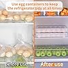 Amazon.com: 77L Deviled Egg Containers with Lid, (Set of 2), Plastic Egg Holder for Refrigerator ...