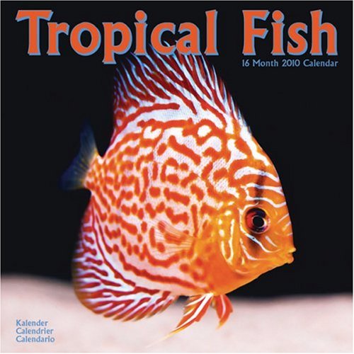 Tropical Fish 2010 Wall Calendar: Avonside Publishing LTD ...