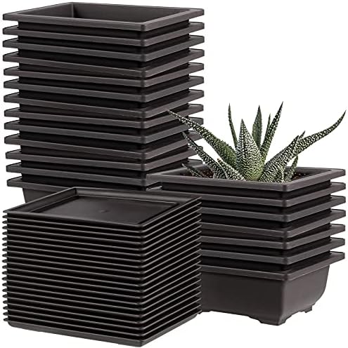 Amazon.com: TAICHEUT 2 PCS 14 Inches Plastic Bonsai Training Pots ...