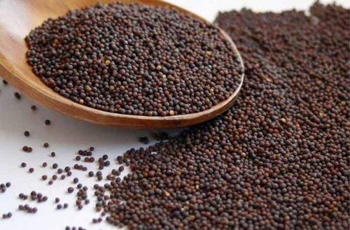 Organiac Mustard Seeds (Rai) Small, 1 Kg : Amazon.in: Grocery & Gourmet ...
